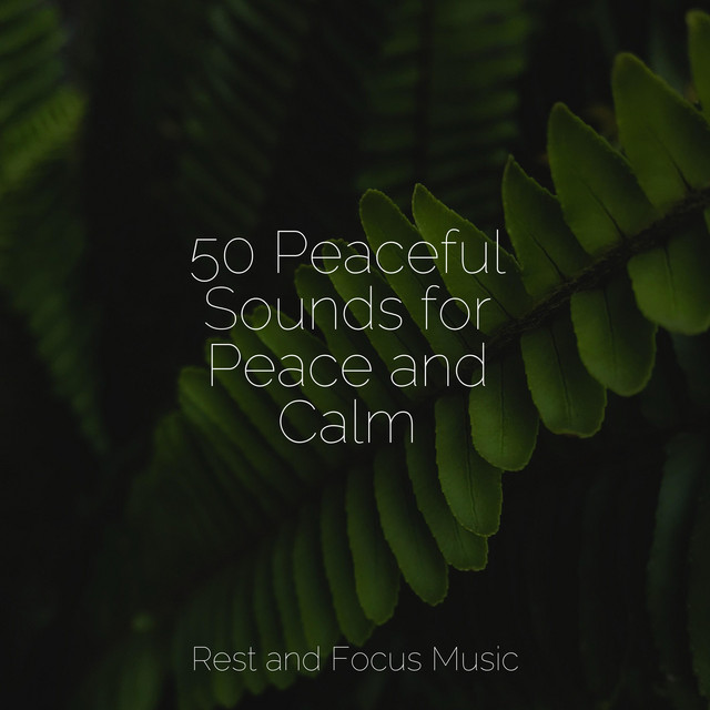 50 Peaceful Sounds for Peace and Calm - Album by Musica Reiki | Spotify