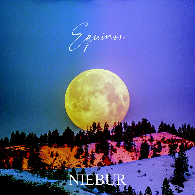 Niebur | Spotify