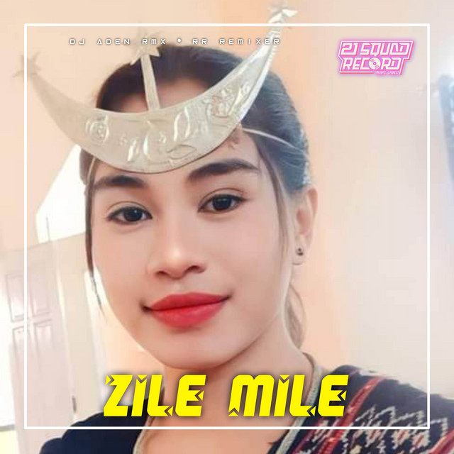 DJ ZILE MILE || DISCO TANAH VIRAL - Single by DJ ADEN RMX | Spotify