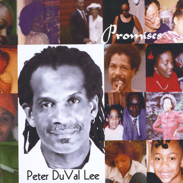 Promises - Album by Peter DuVal Lee | Spotify