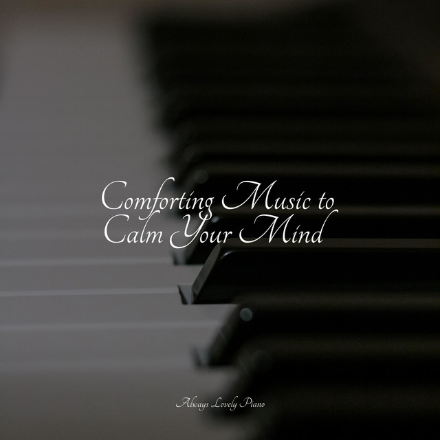 Comforting Music to Calm Your Mind - Album by Piano Music for Exam ...