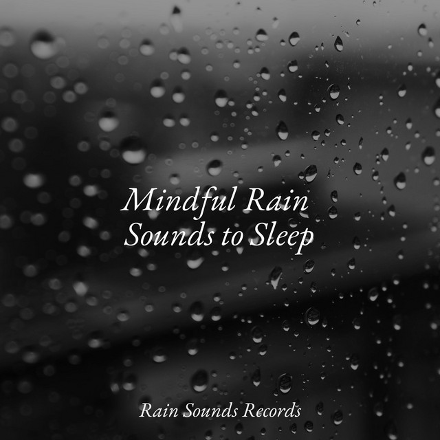 Mindful Rain Sounds to Sleep - Album by Spa Relaxation | Spotify