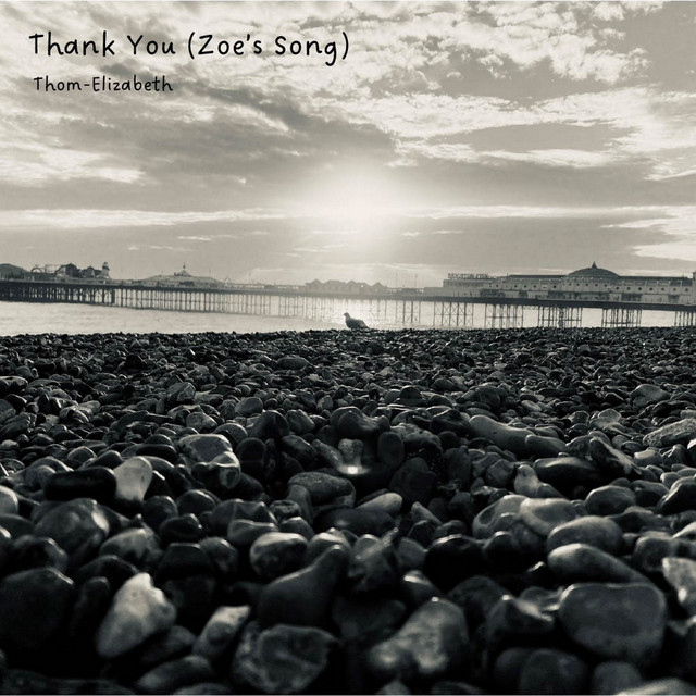 Thank You (Zoe's Song) - Single by Thom-Elizabeth | Spotify