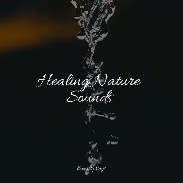 Healing Nature Sounds - Album by Soothing Music Academy | Spotify