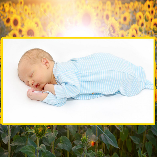 Hushaby baby, Newborn babies shine like little stars in their dreams ...