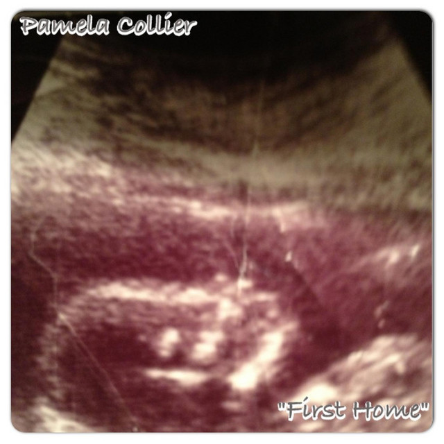 First Home - Single by Pamela Collier | Spotify