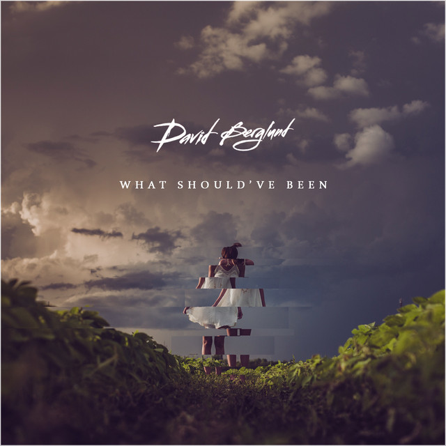 What Should've Been - Single by David Berglund | Spotify