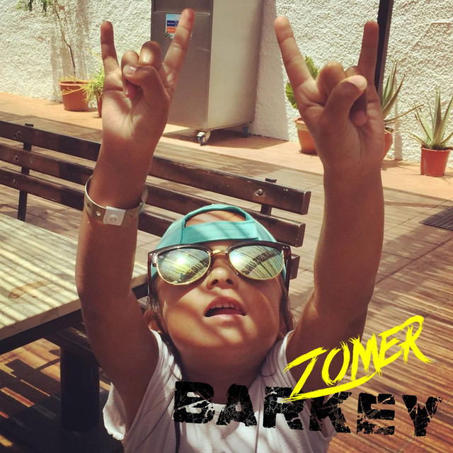 Zomer - Single by BarKey! | Spotify