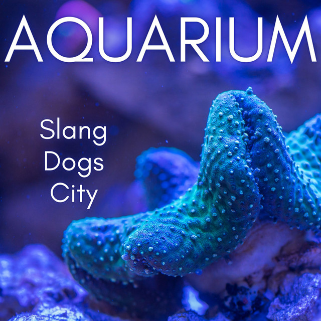 Aquarium - Album by Slang Dogs City | Spotify