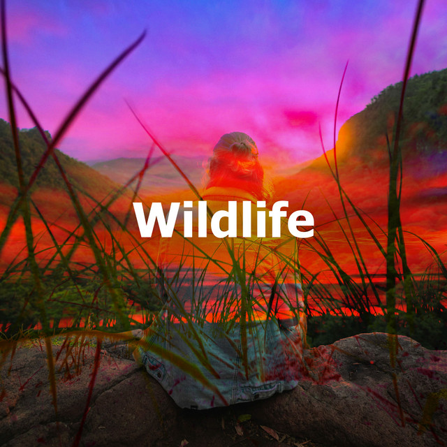 Wildlife - Album by Australian Nature Sounds | Spotify