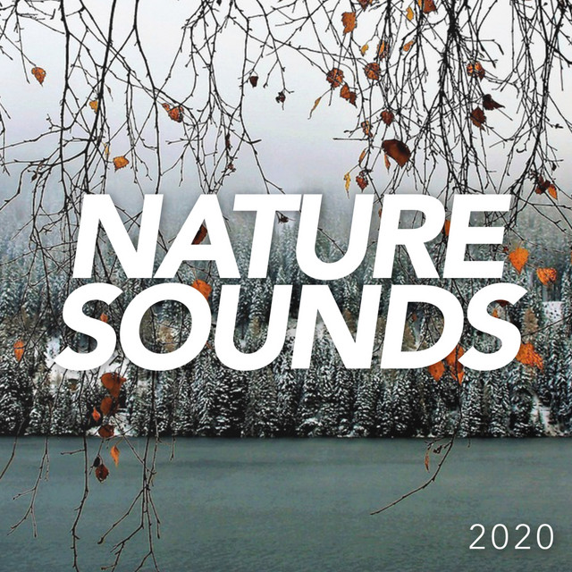 Nature Sounds 2020 - Album by Nature Sounds | Spotify
