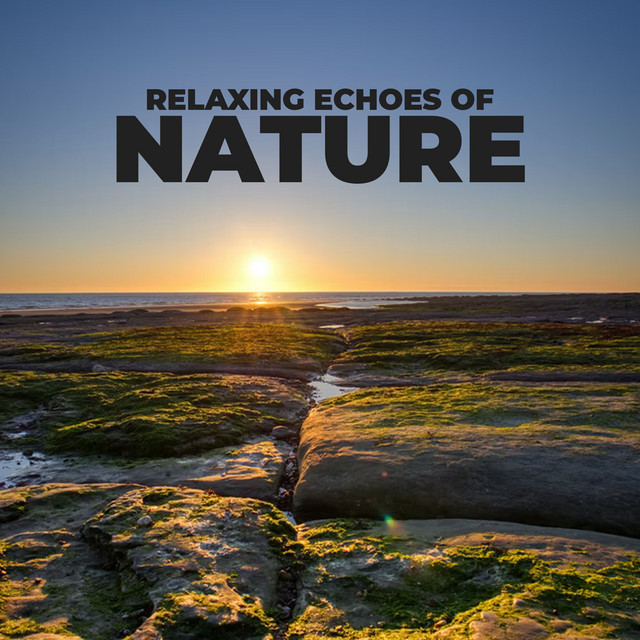 Drenched - song and lyrics by Life Sounds Nature | Spotify