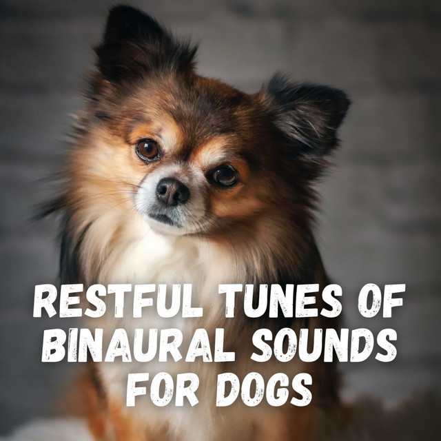 Restful Tunes of Binaural Sounds for Dogs - Album by The Land Seven ...