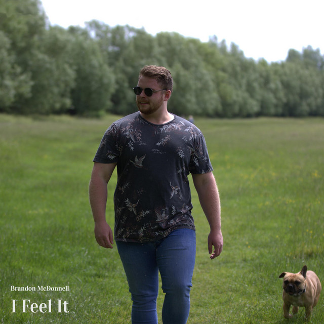 I Feel It - Single by Brandon McDonnell | Spotify