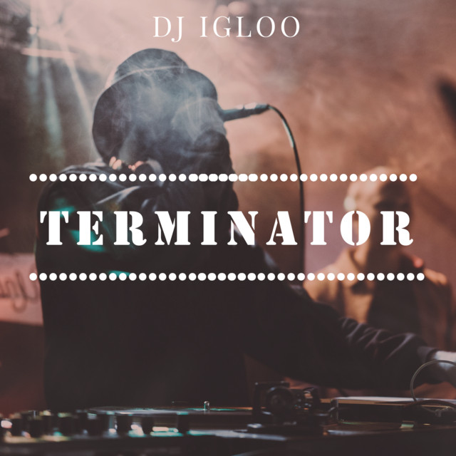 Terminator - Single by DJ Igloo | Spotify