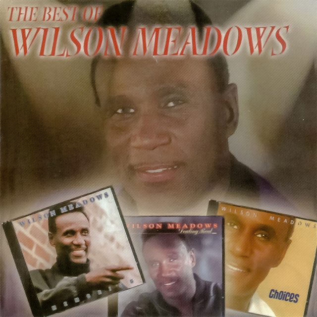 Just Like I Promised - song and lyrics by Wilson Meadows | Spotify