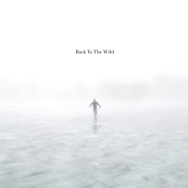 Back to the Wild - Single by H.O.M.E.S | Spotify