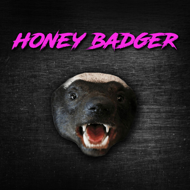 Honey Badger - song and lyrics by Tom McGovern | Spotify