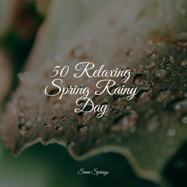50 Relaxing Spring Rainy Day - Album by Meditation Relaxation Club ...