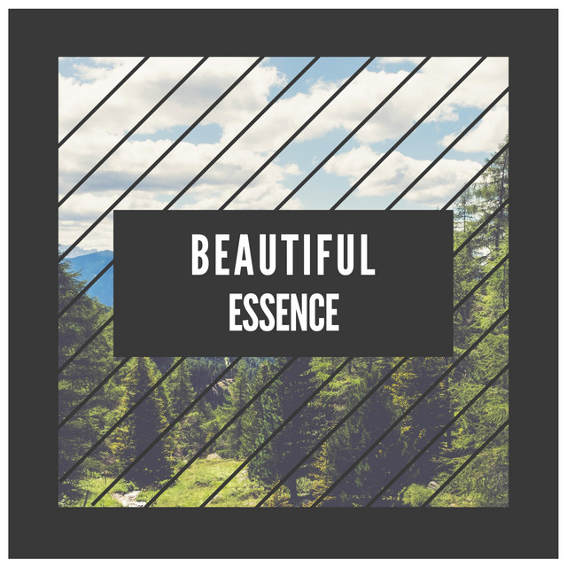 # 1 Album: Beautiful Essence - Compilation by Various Artists | Spotify
