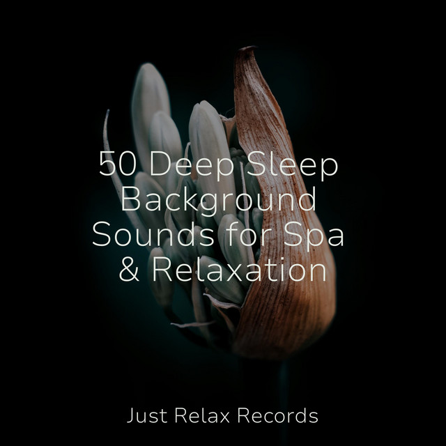 50 Deep Sleep Background Sounds for Spa & Relaxation - Album by Zen ...
