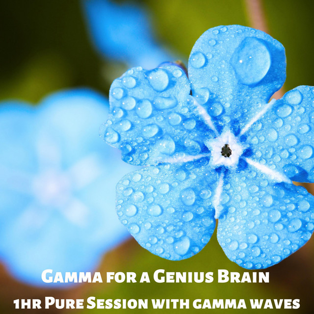 Gamma waves for a Genius Brain - Single by Healing Vibes | Spotify
