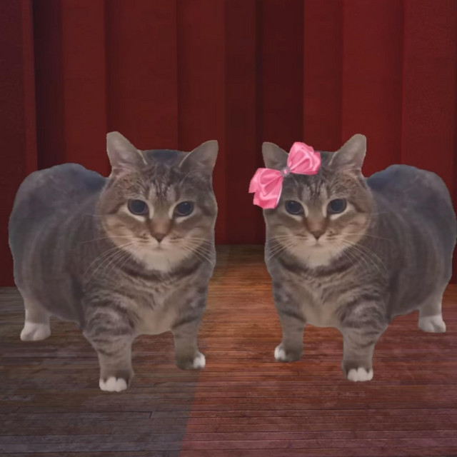 o ii a i o u iii ai cat (Oiiaoiia) - Single by DARK MEAT UPC | Spotify