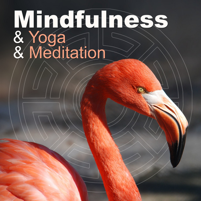 Harp Song - song and lyrics by Mindfulness Meditation Guru | Spotify