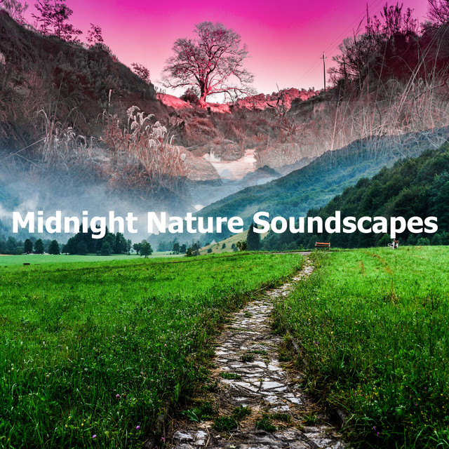 Midnight Nature Soundscapes - Album by Nature Soundscapes | Spotify