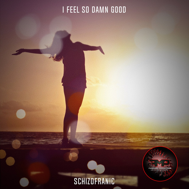 I Feel so Damn Good - Single by SchizoFranic | Spotify