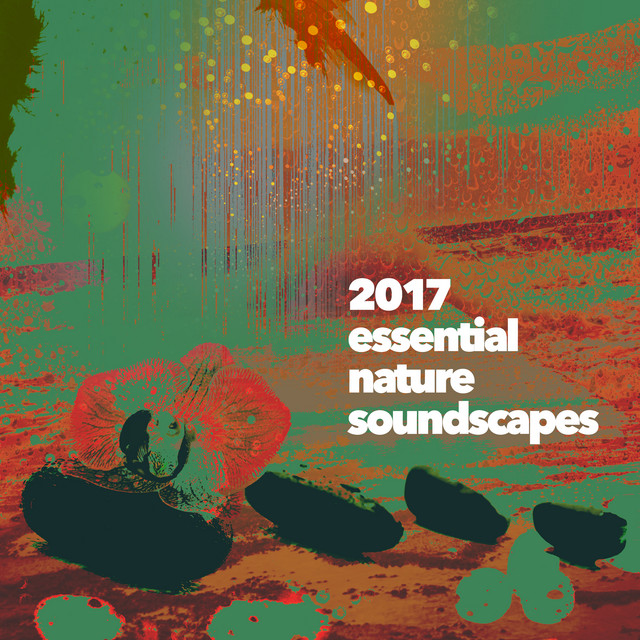 2017 Essential Nature Soundscapes - Album by Nature Sounds | Spotify