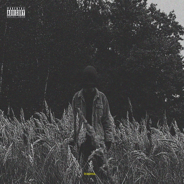 trauma. - Album by untitled | Spotify