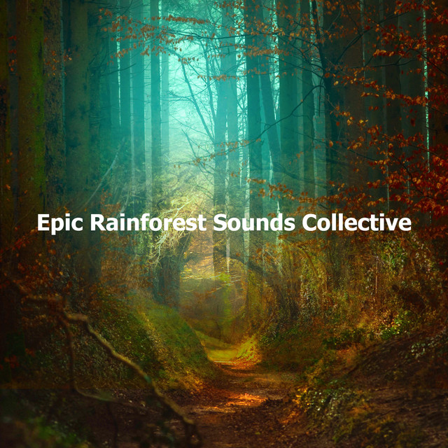 Epic Rainforest Sounds Collective - Album by Nature & Rainforest Sounds ...