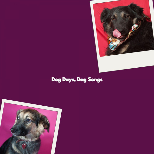 Dog Days, Dog Songs - Album by Office Background Music | Spotify