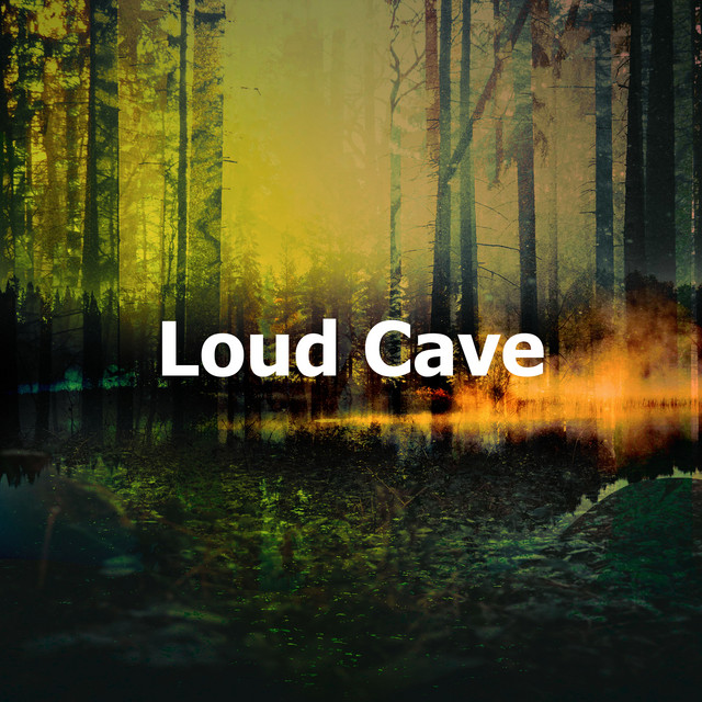 Loud Cave - Album by Rainforest | Spotify