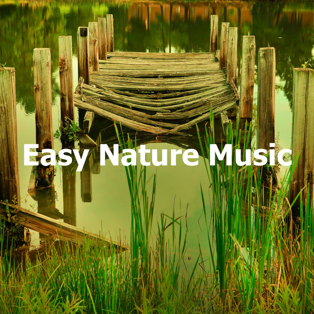Rain on the Nestlings - song and lyrics by Nature Sounds Nature Music ...