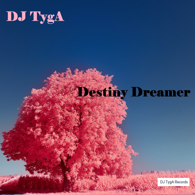 Destiny Dreamer - Single by DJ Tyga | Spotify