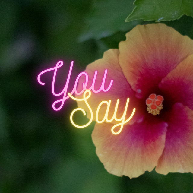 You Say - Single by LY | Spotify