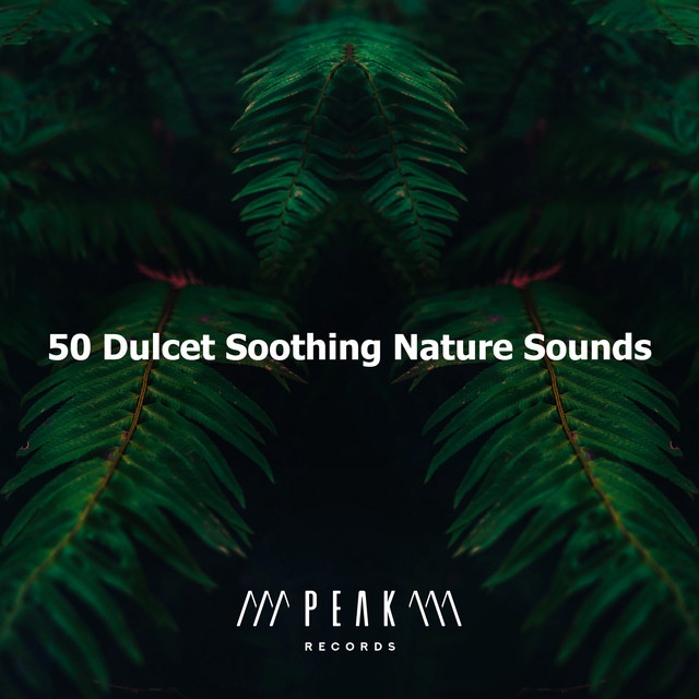 50 Dulcet Soothing Nature Sounds - Album by Soothing Nature Sounds ...