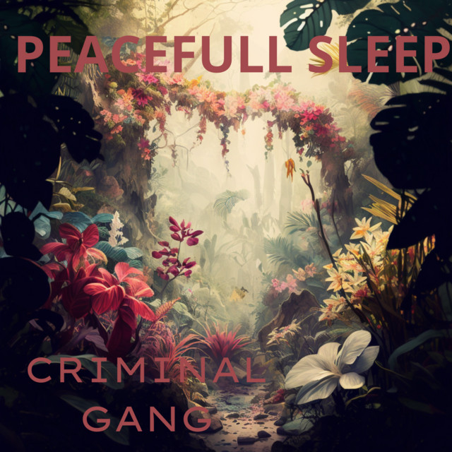 PEACEFULL SLEEP - Album by CRIMINAL GANG | Spotify