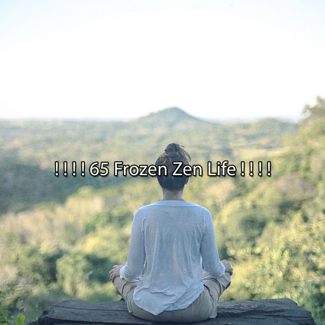 65 Frozen Zen Life ! ! ! ! - Album by Yoga Sounds | Spotify