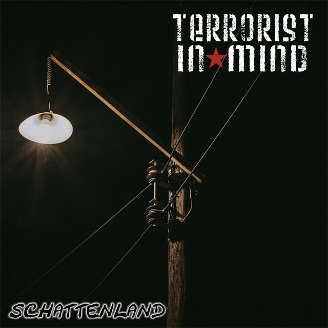 Schattenland - Album by Terrorist in mind | Spotify