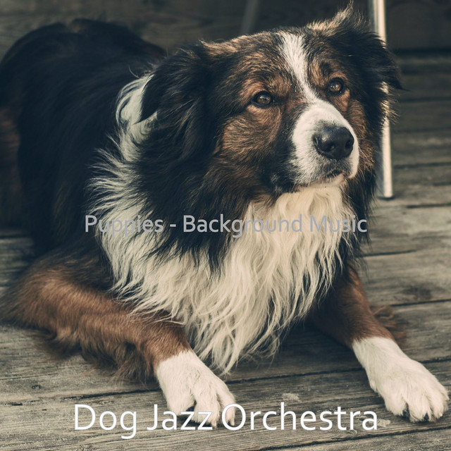 Peaceful (Walking the Dog) - song and lyrics by Dog Jazz Orchestra ...