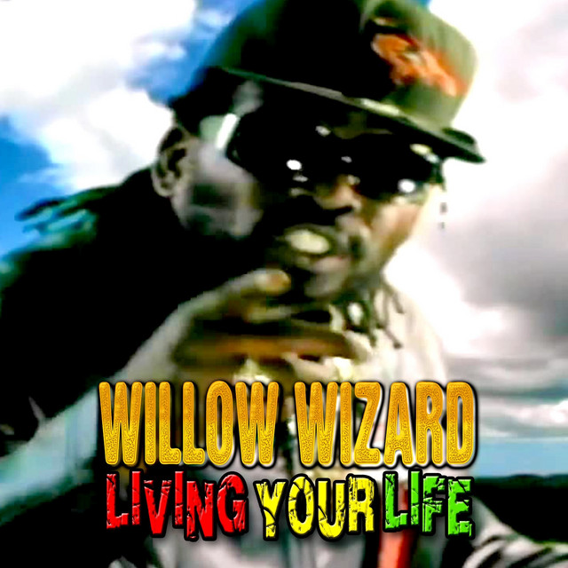 Living Your Life - Single by Willow Wizard | Spotify