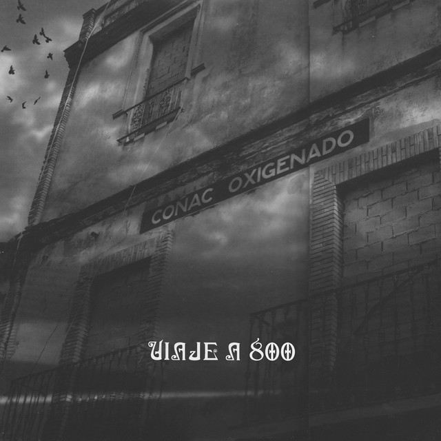 Viaje ALUCINANTE a 800!! - Página 7