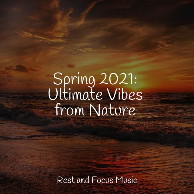 Spring 2021: Ultimate Vibes from Nature - Album by Relaxing Nature ...