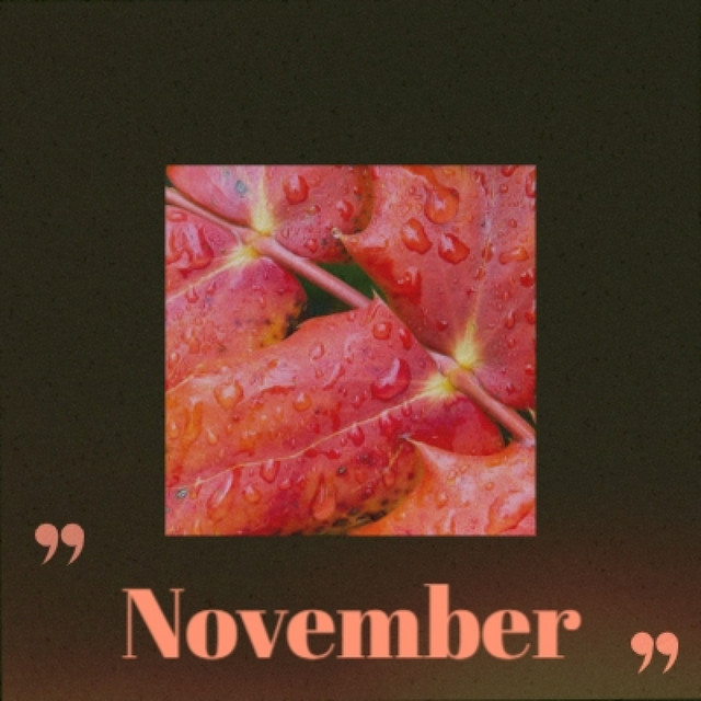 November - Compilation by Various Artists | Spotify