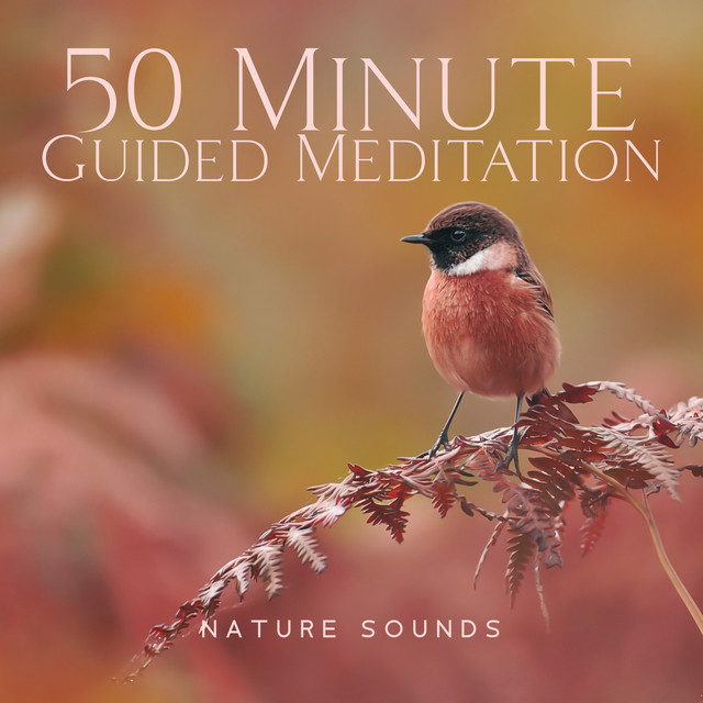 50 Minute Guided Meditation - Nature Sounds, Waterfall, Forest ...
