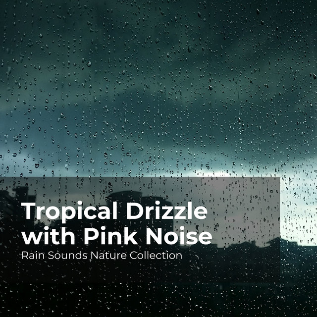 Tropical Drizzle with Pink Noise - Album by Rain Sounds Nature ...