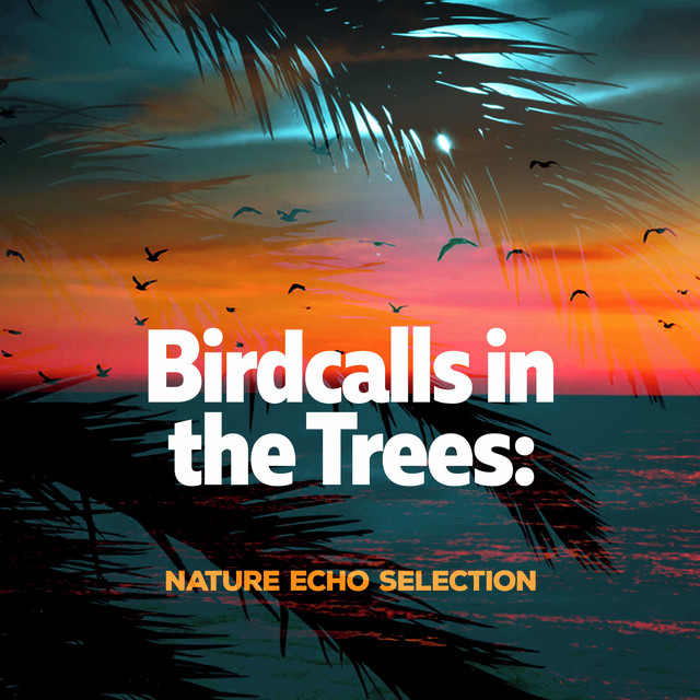 Birdcalls in the Trees: Nature Echo Selection - Album by Echoes Of ...